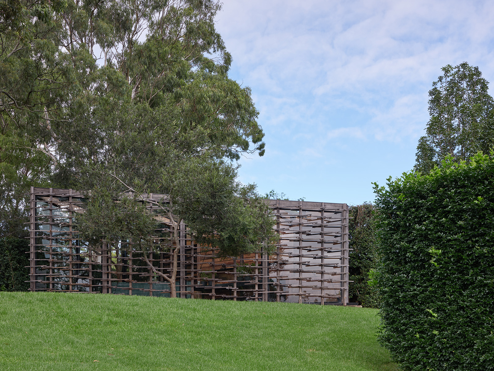 Shed for Propagation - Marc & Co